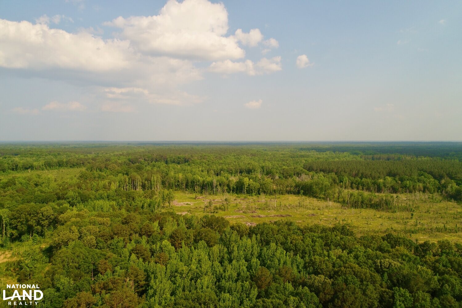 Panola Hunting & Recreational Tract in Sumter County, Alabama (30 ...