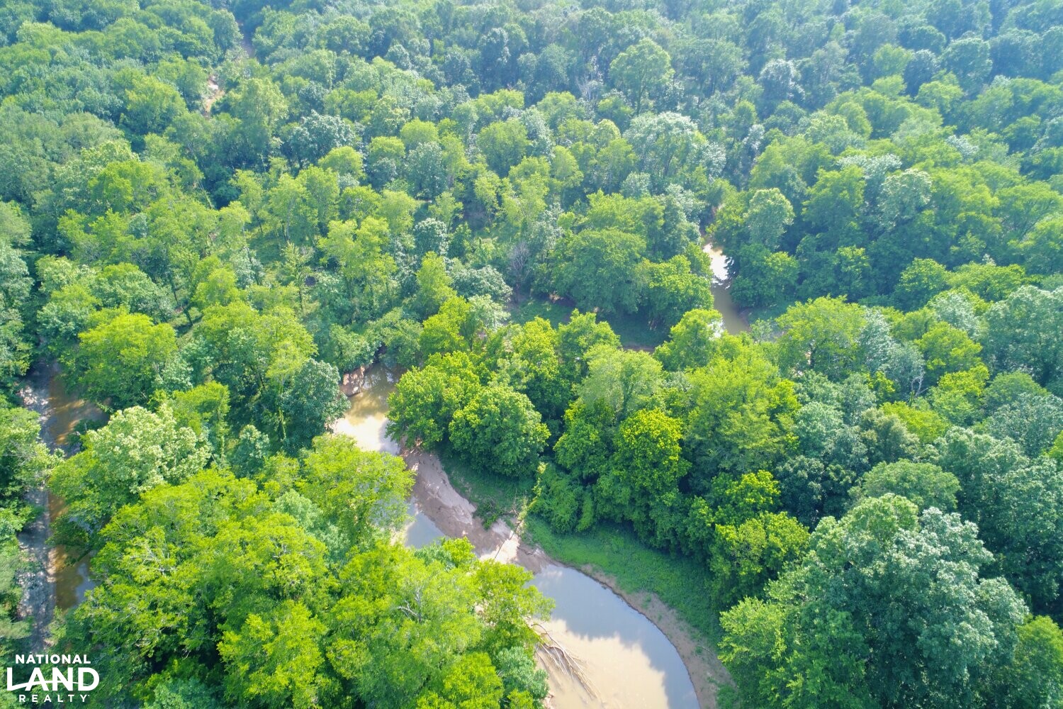 Panola Hunting & Recreational Tract in Sumter County, Alabama (30 ...