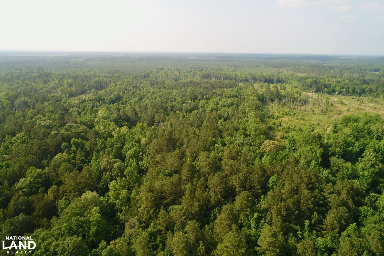 Panola Hunting & Recreational Tract in Sumter County, Alabama (30 ...
