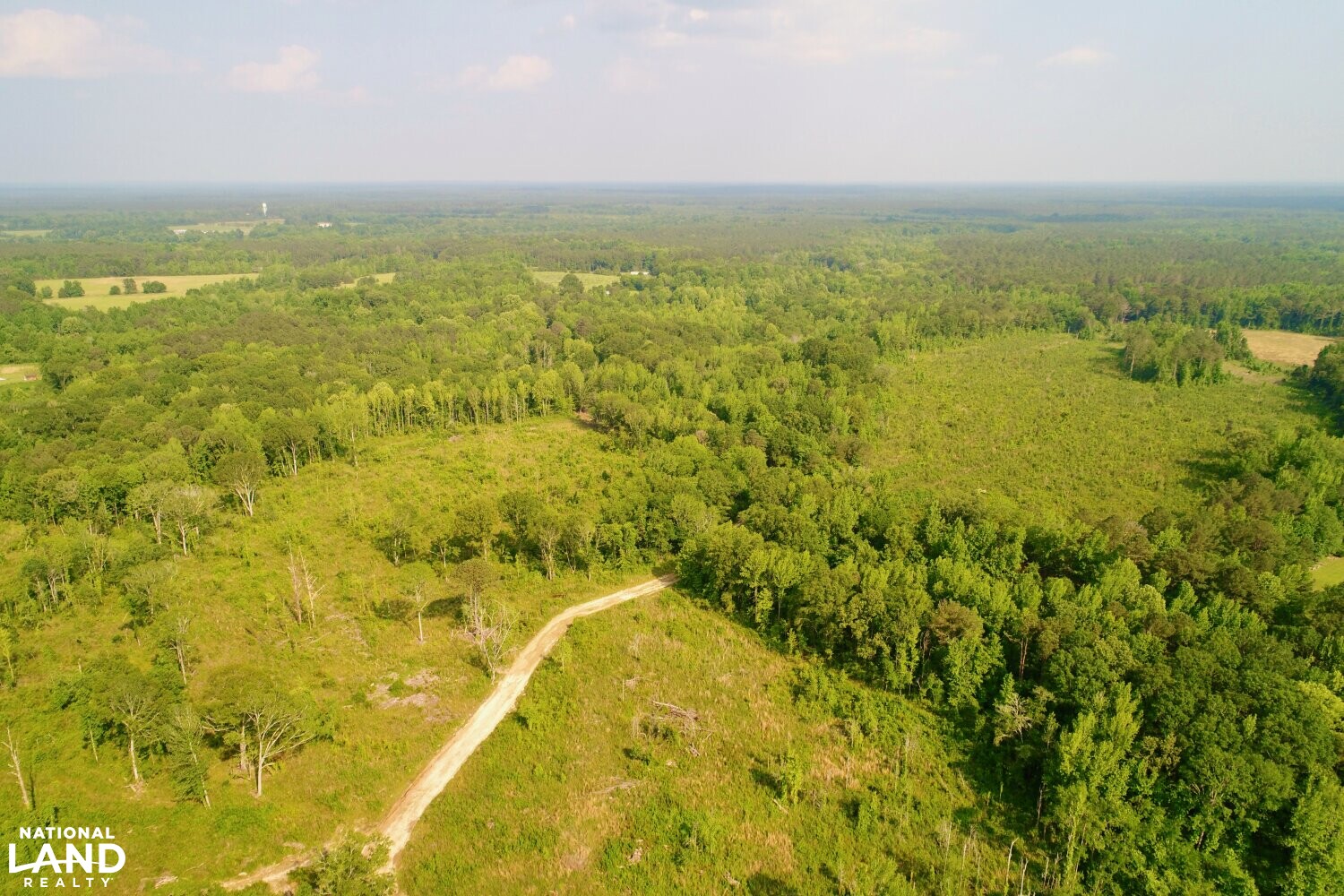 Panola Hunting & Recreational Tract in Sumter County, Alabama (30 ...