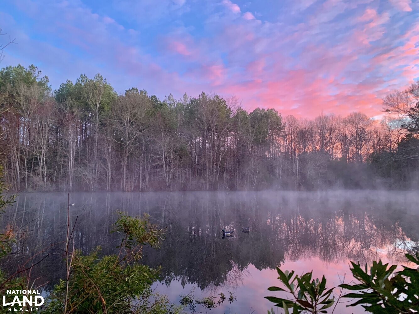 Panola Hunting & Recreational Tract in Sumter County, Alabama (30 ...