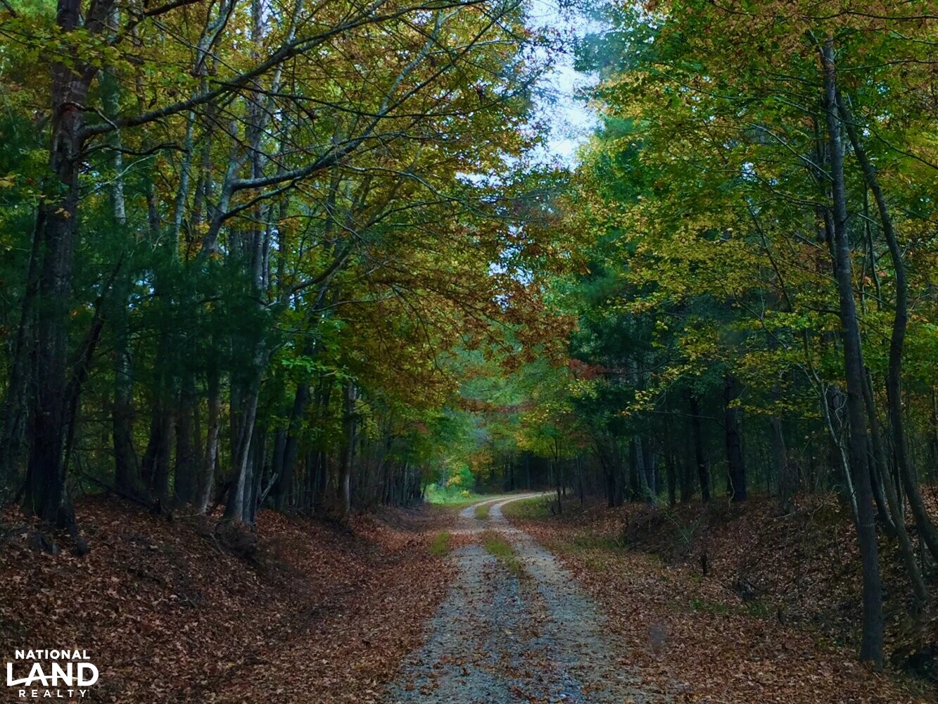 Panola Hunting & Recreational Tract in Sumter County, Alabama (30 ...