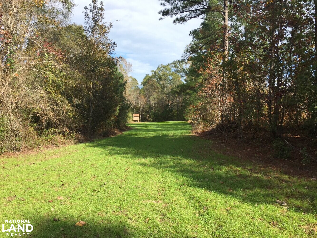 Panola Hunting & Recreational Tract in Sumter County, Alabama (30 ...