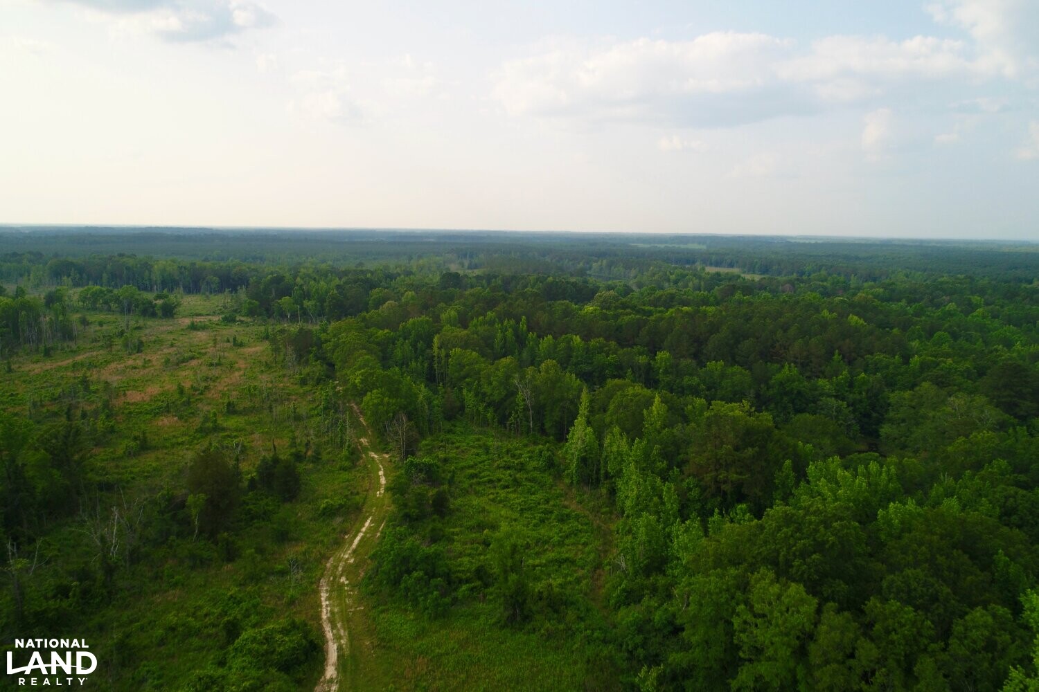 Panola Hunting & Recreational Tract in Sumter County, Alabama (30 ...