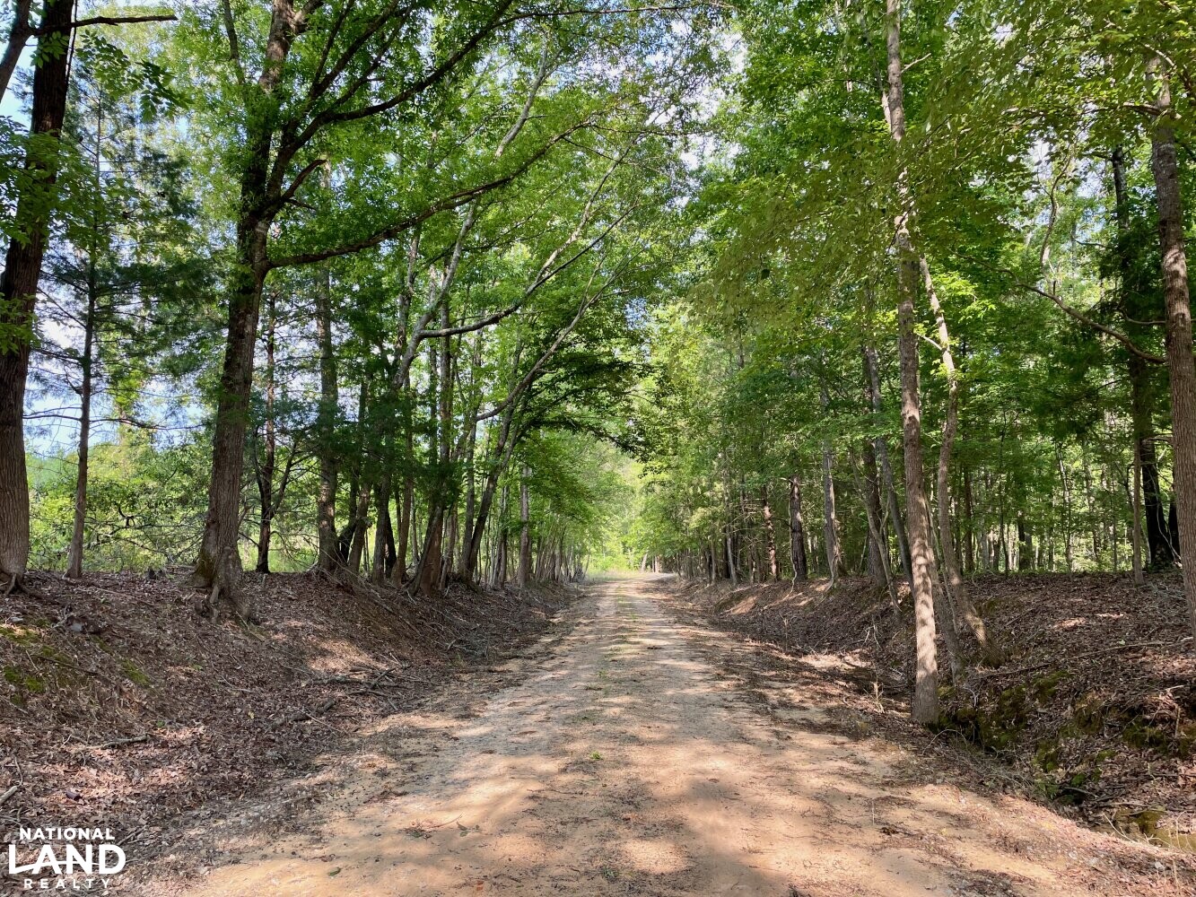 Panola Hunting & Recreational Tract in Sumter County, Alabama (30 ...
