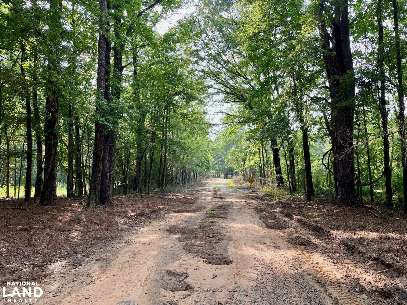 Panola Hunting & Recreational Tract in Sumter County, Alabama (30 ...