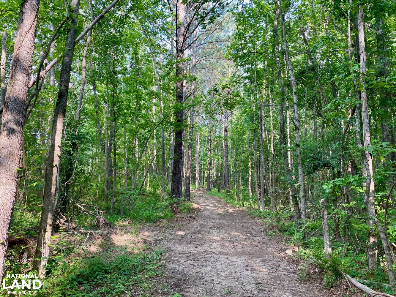 Panola Hunting & Recreational Tract in Sumter County, Alabama (30 ...