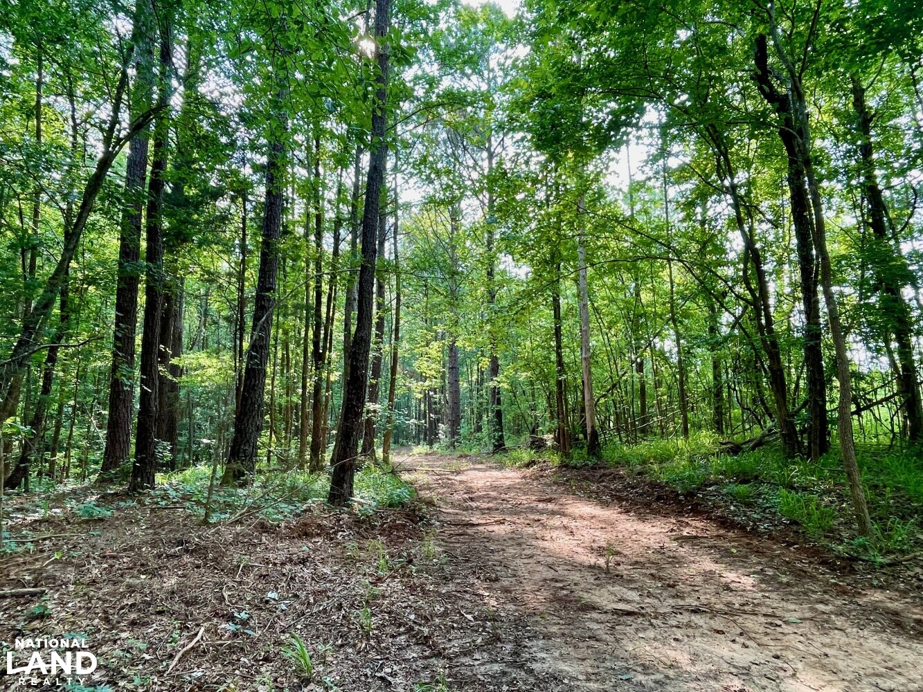 Panola Hunting & Recreational Tract in Sumter County, Alabama (30 ...
