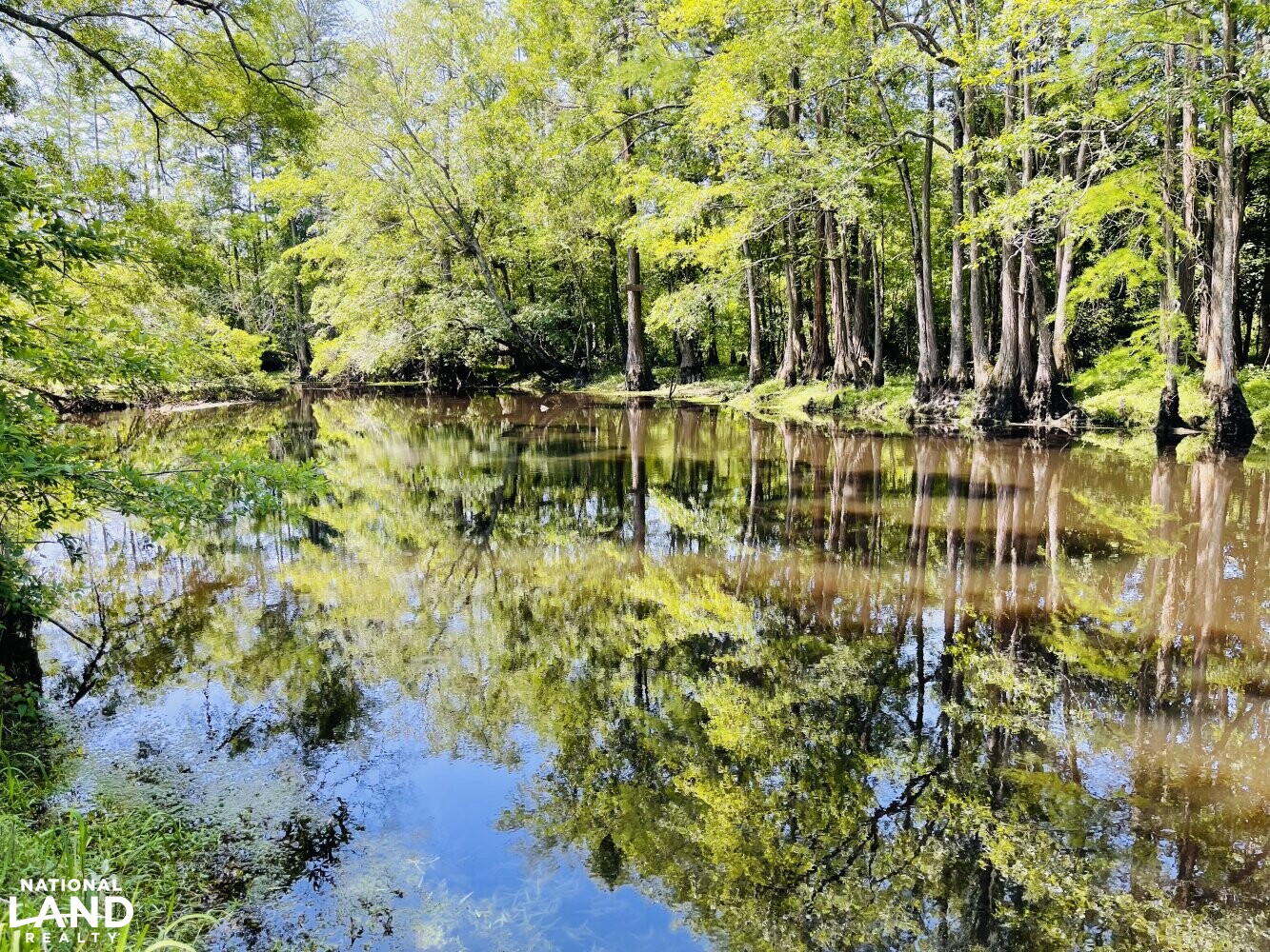 Lumber River Tract with Boat Ramp in Robeson County, North Carolina (14 ...