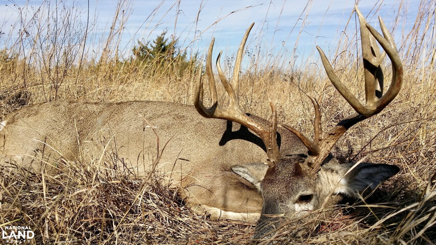 Pure Kansas Whitetail Hunting in Wilson County, Kansas (56 Photos ...