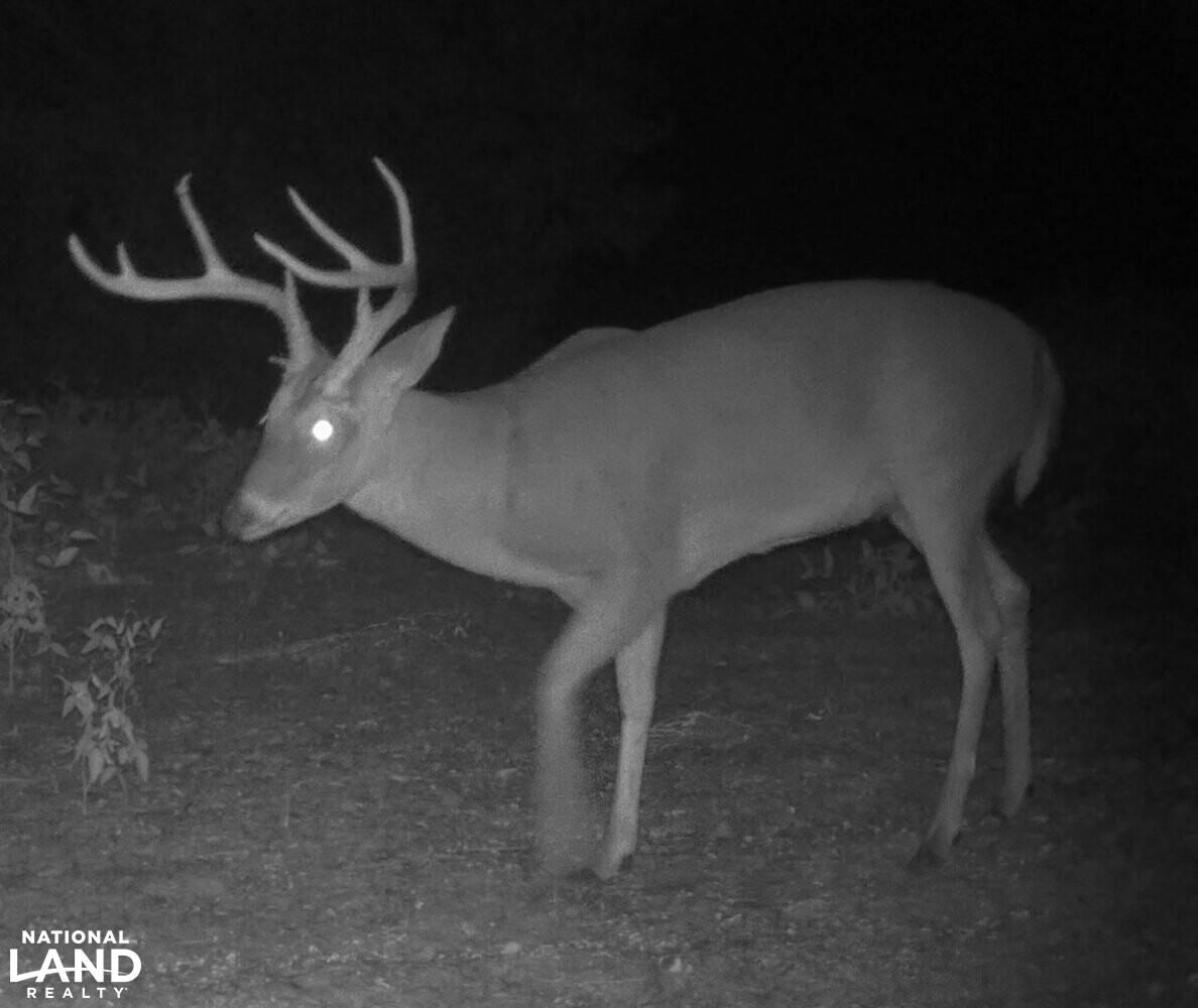 The Newland Farm in Halifax County, Virginia (97 Photos) | National ...