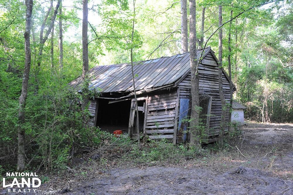 Famous McCall Farm II in Marlboro County, South Carolina (26 Photos) | National Land Realty