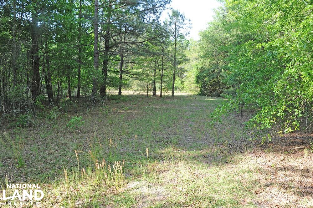 Famous McCall Farm II in Marlboro County, South Carolina (26 Photos ...