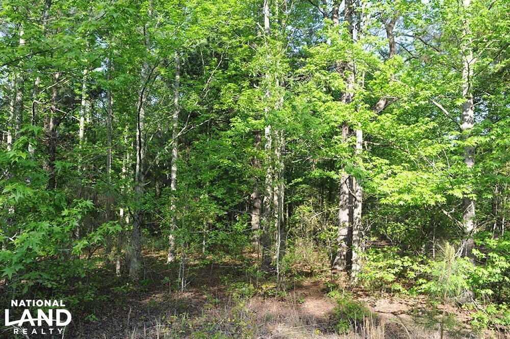 Famous McCall Farm II in Marlboro County, South Carolina (26 Photos ...