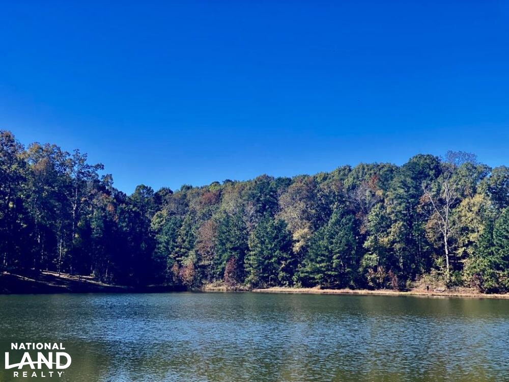 Gray Georgia Waterfront Homesite in Jones County, Georgia (18 Photos ...