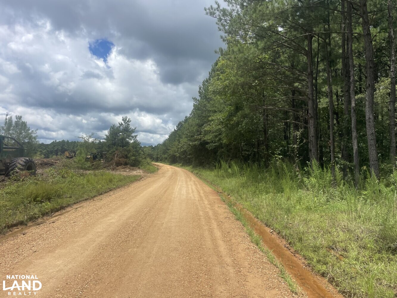 Griffin Rd Timber and Recreational Tract in Noxubee County, Mississippi ...