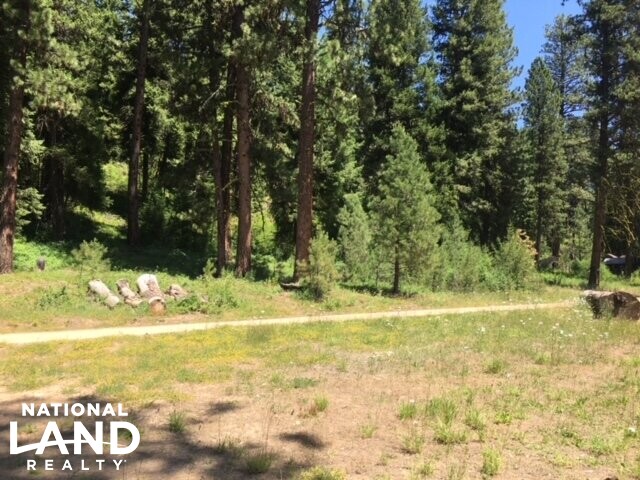 Golden Age Mine in Boise County, Idaho (8 Photos) | National Land Realty