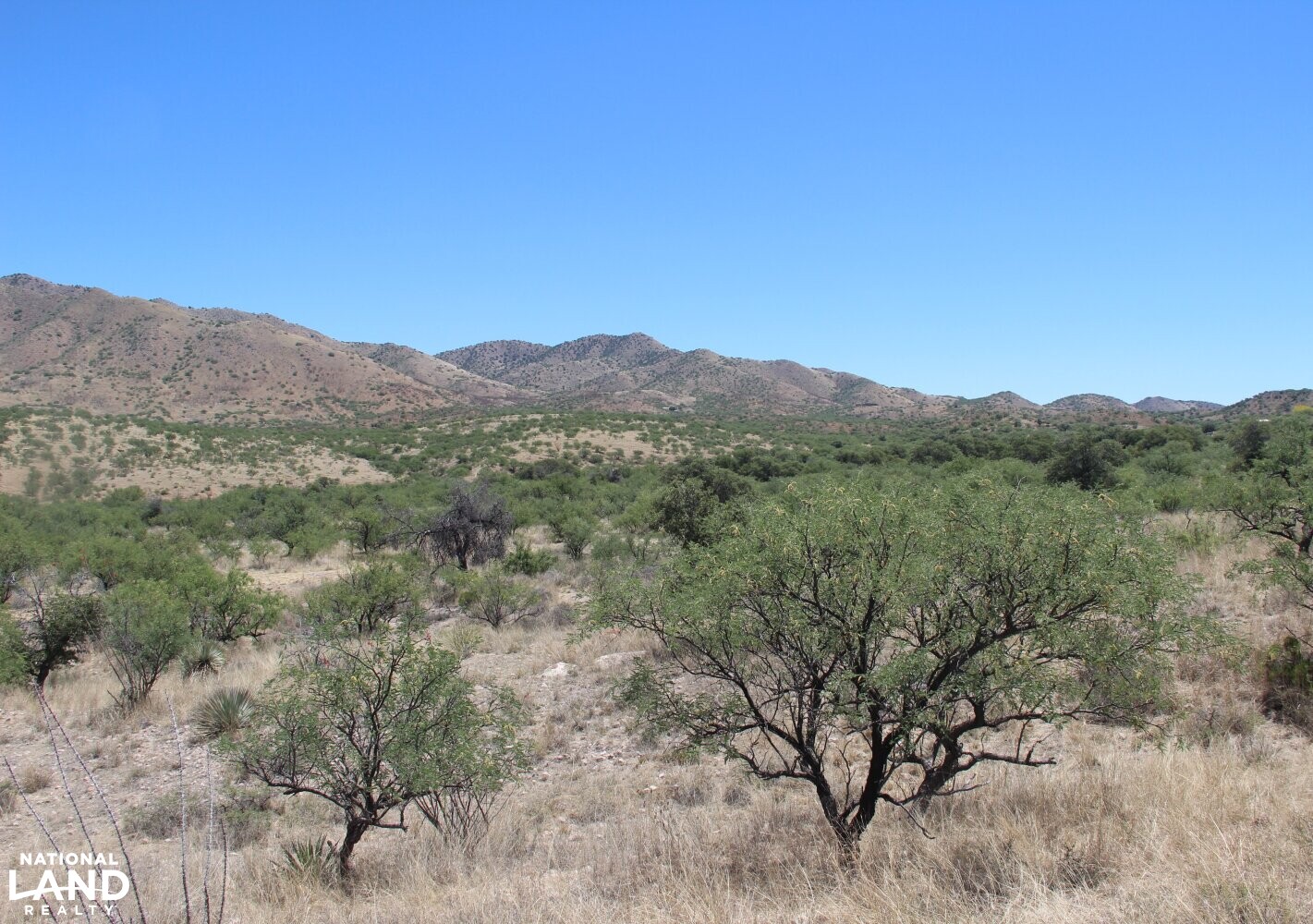 Altar Valley Acreage in Pima County, Arizona (19 Photos) | National ...