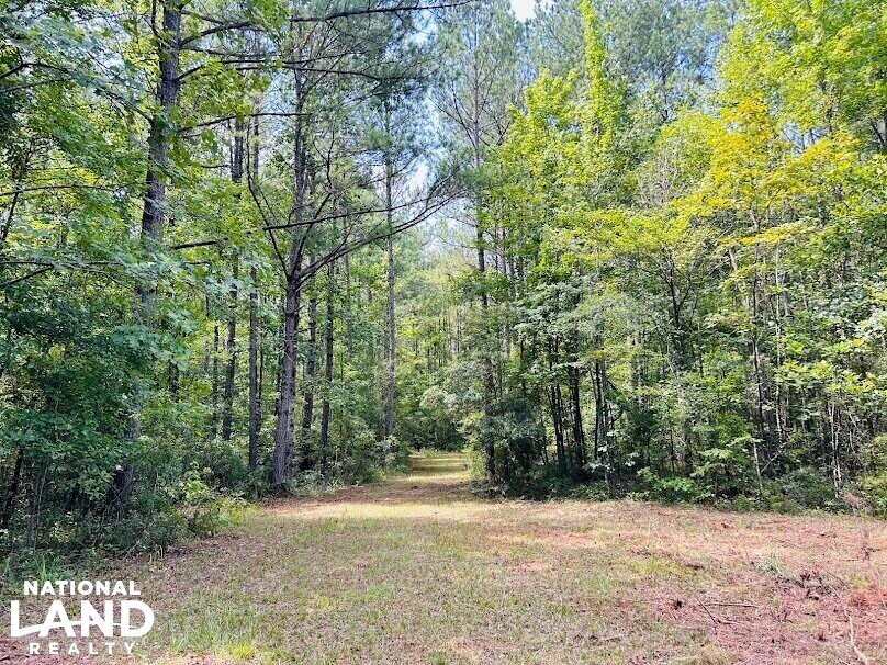 Hunting Land with Camp and Equipment in Talbot County, Georgia (60 ...