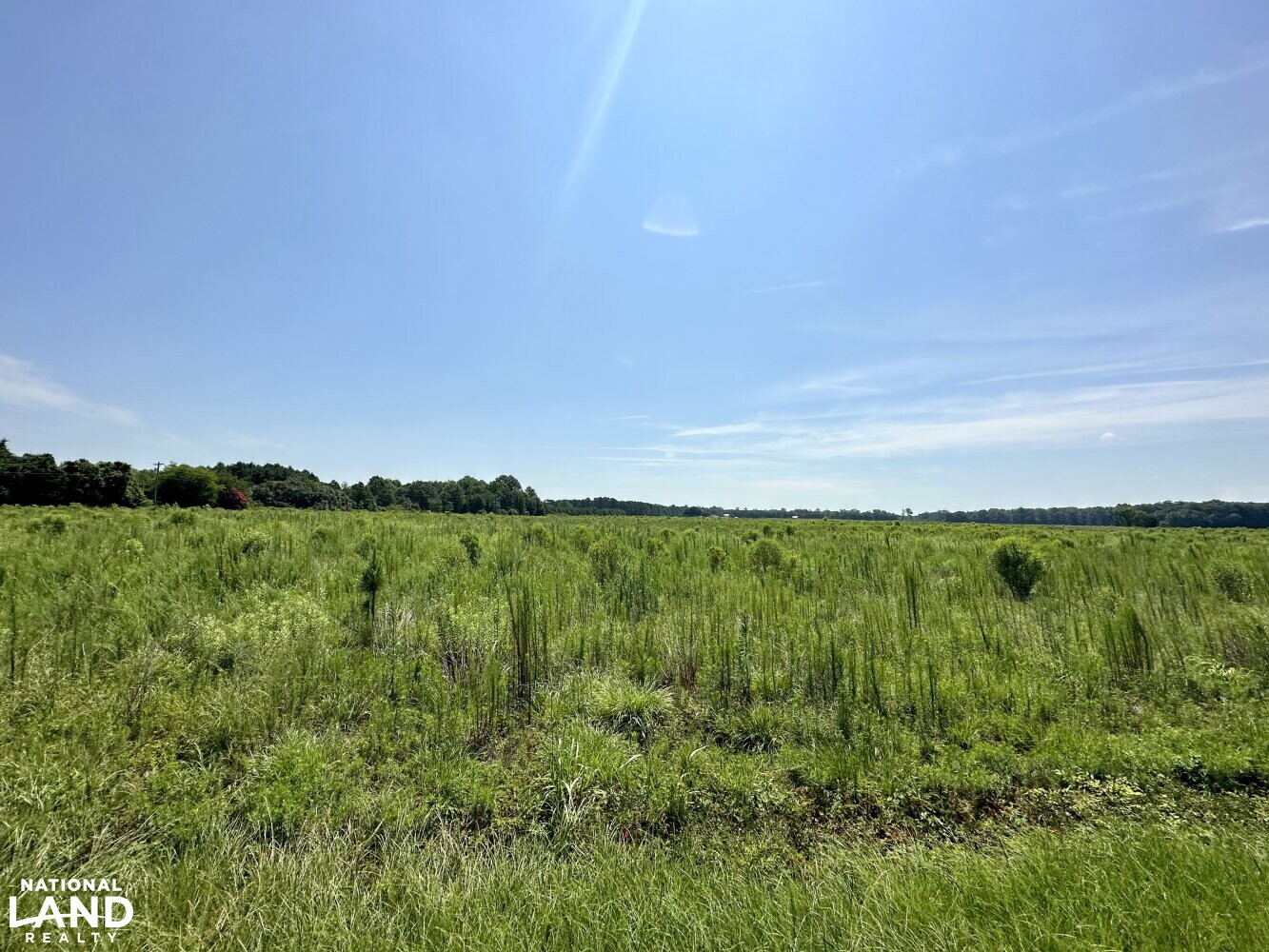 Pecan Road Tract in Wayne County, North Carolina (7 Photos) | National ...