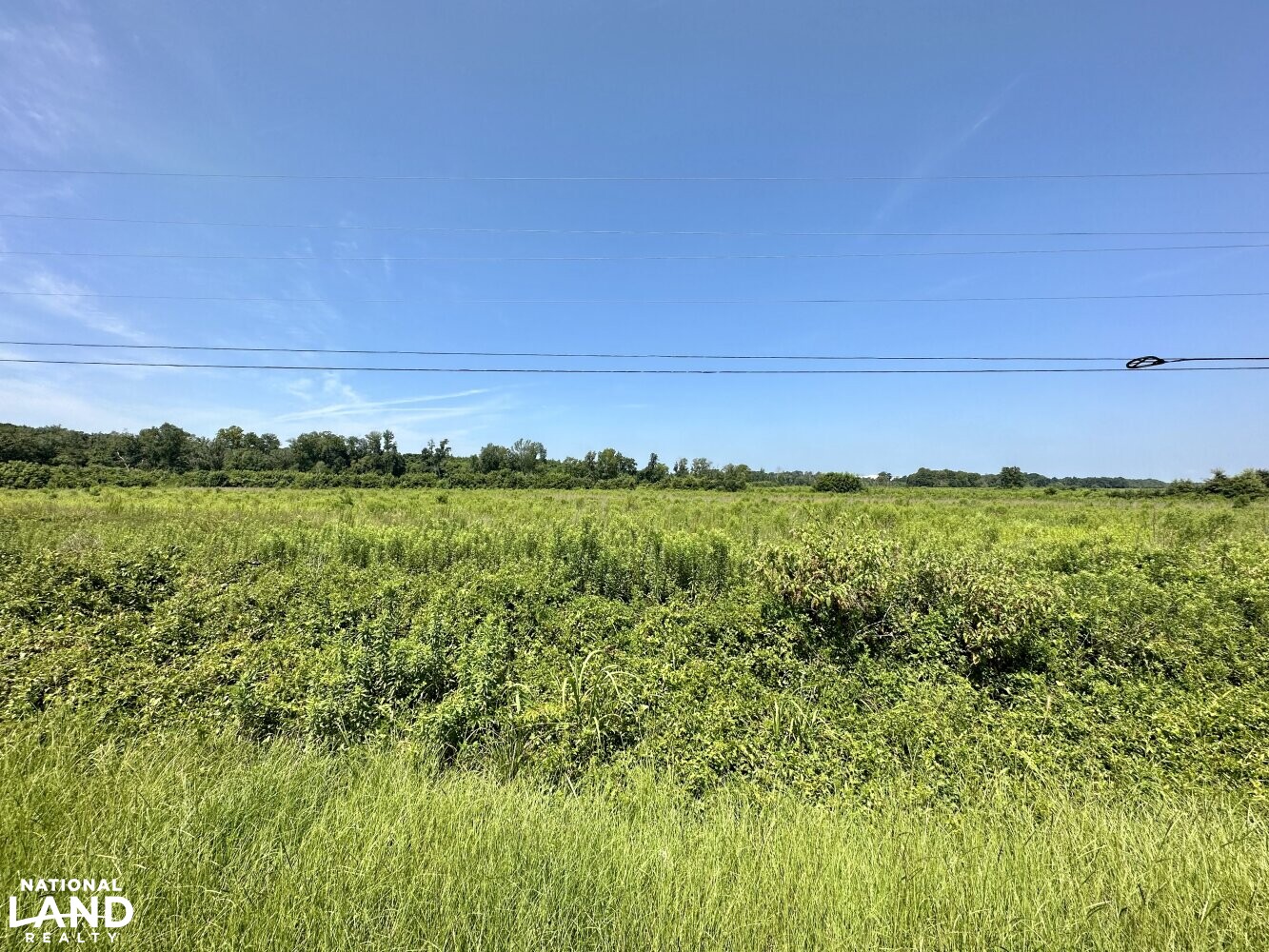 Arrington Bridge Tract in Wayne County, North Carolina (8 Photos ...