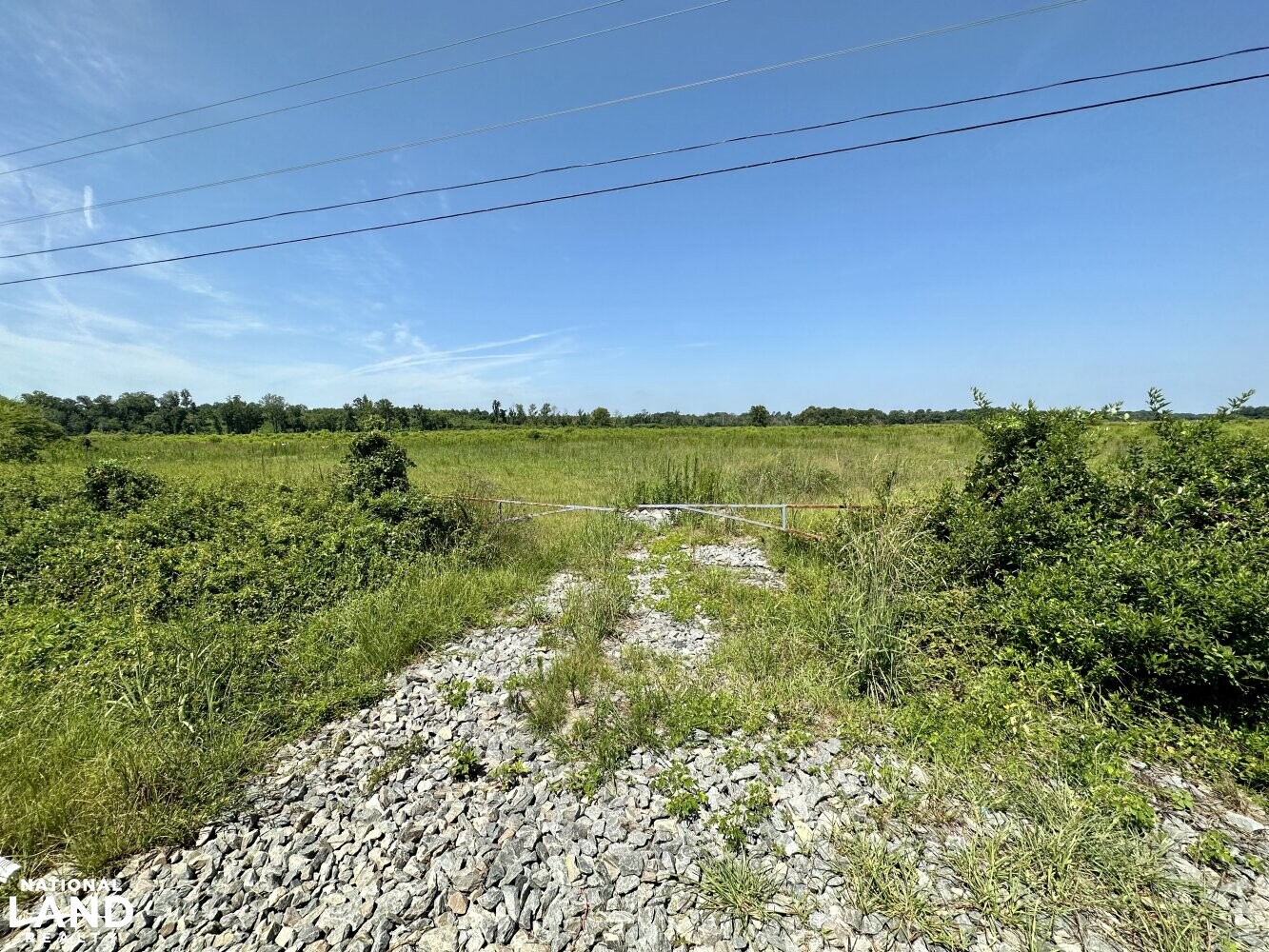 Arrington Bridge Tract in Wayne County, North Carolina (8 Photos ...