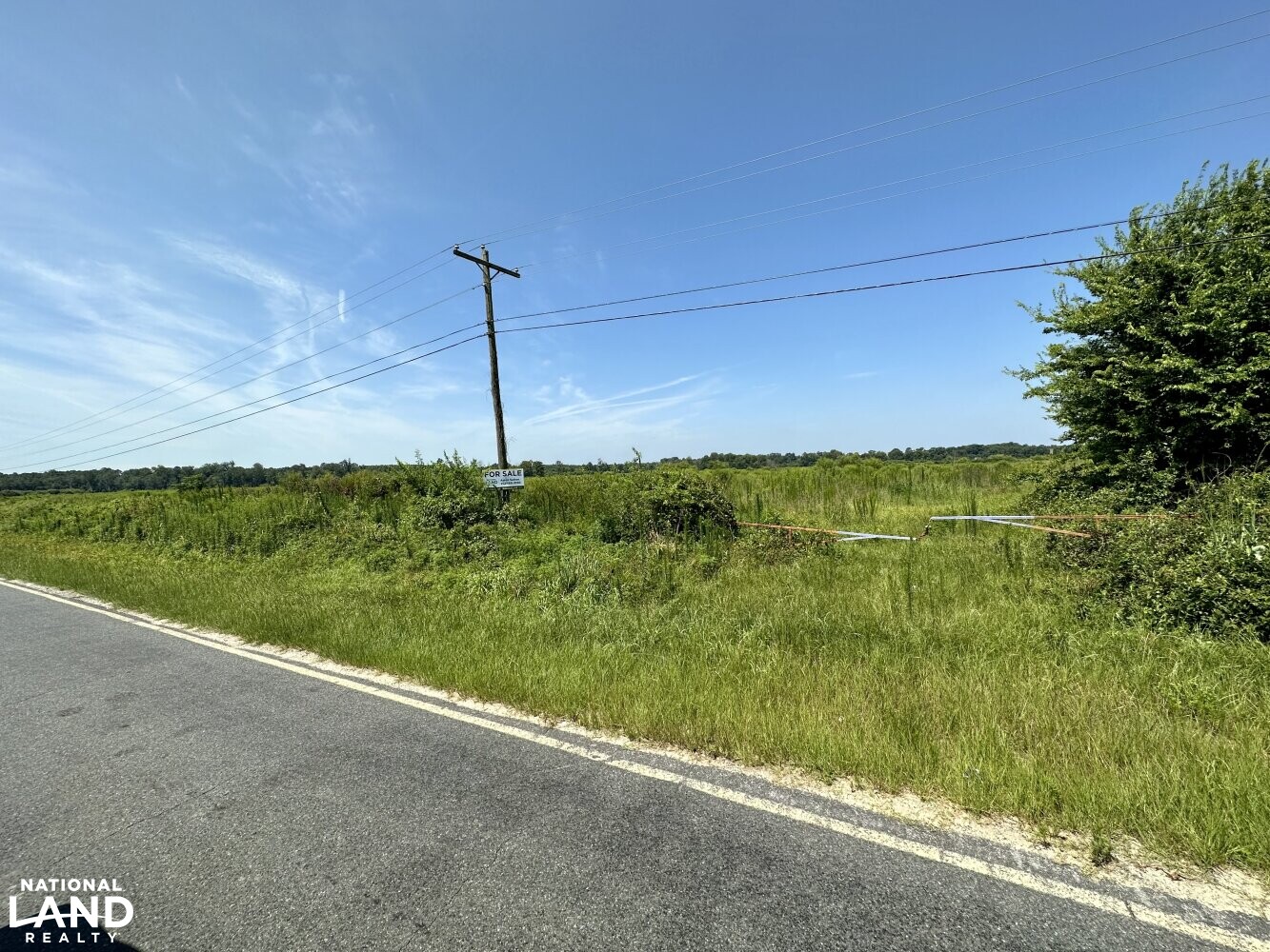 Arrington Bridge Tract in Wayne County, North Carolina (8 Photos ...