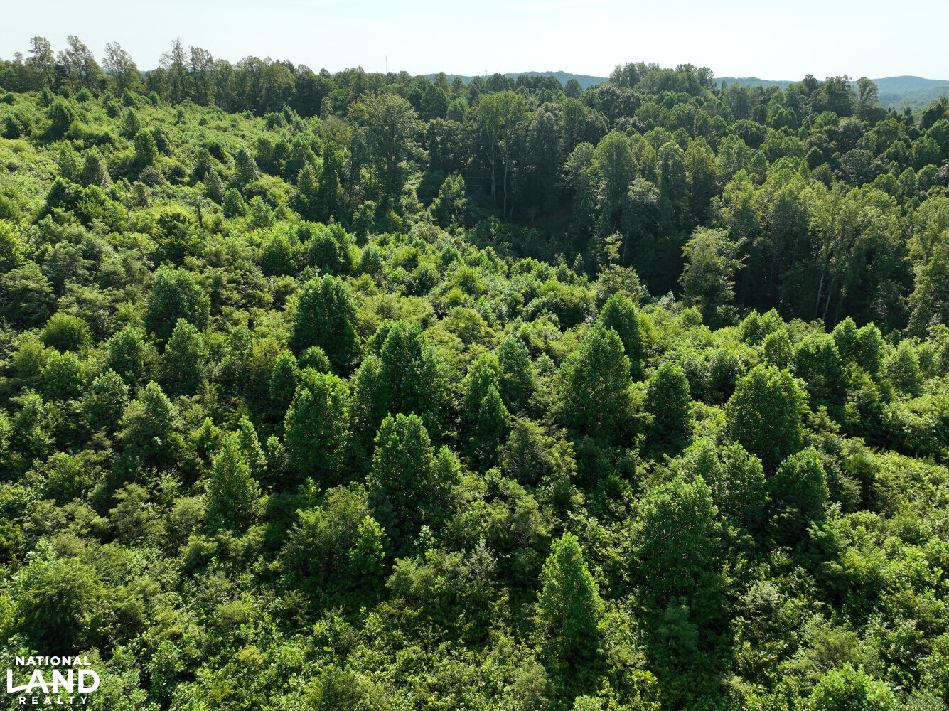 Fieldale Timber Tract in Henry County, Virginia (5 Photos) | National ...