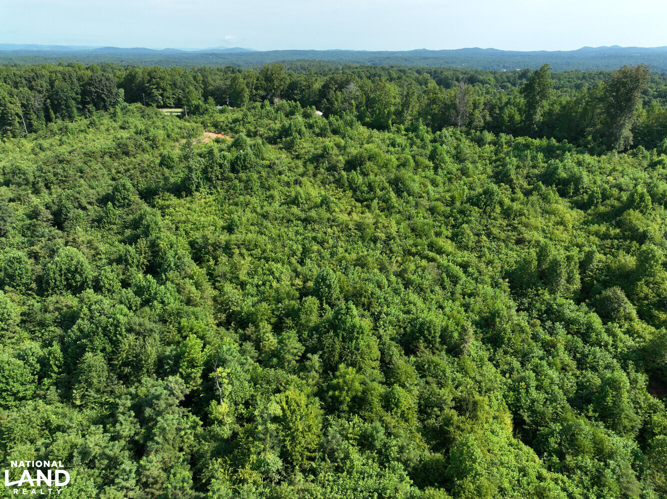 Fieldale Timber Tract in Henry County, Virginia (5 Photos) | National ...