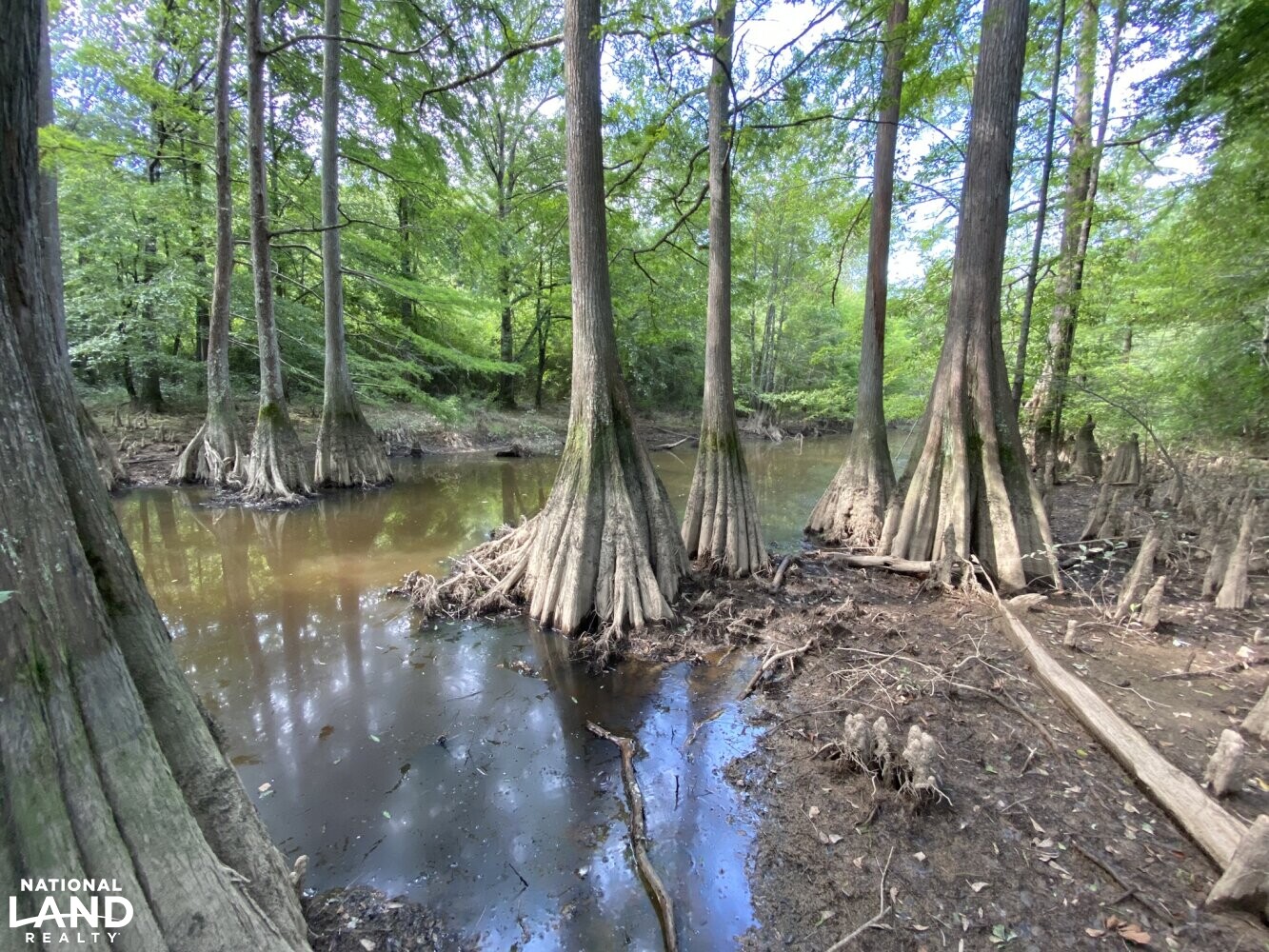 Vernon - Yellow Creek Hunting & Timber Tract in Lamar County, Alabama ...