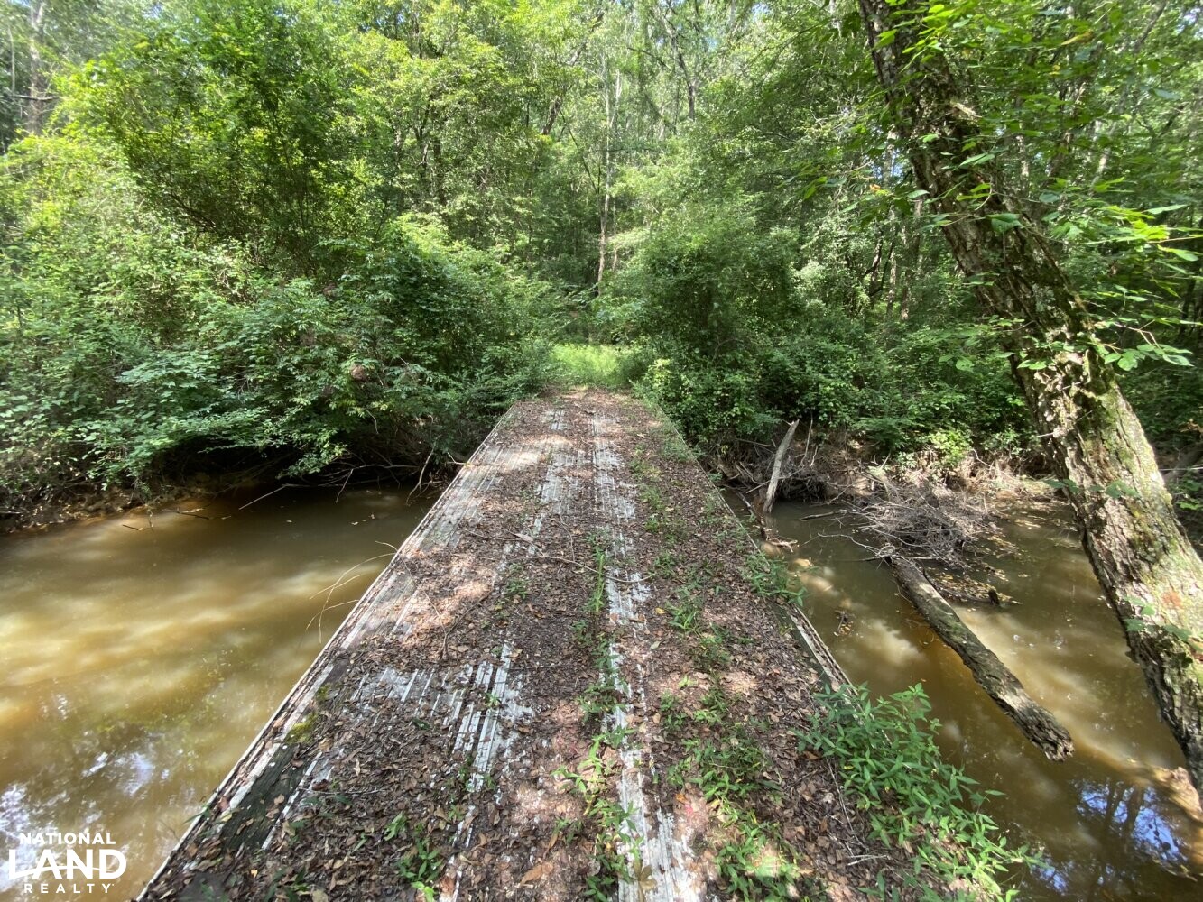 Vernon - Yellow Creek Hunting & Timber Tract in Lamar County, Alabama ...