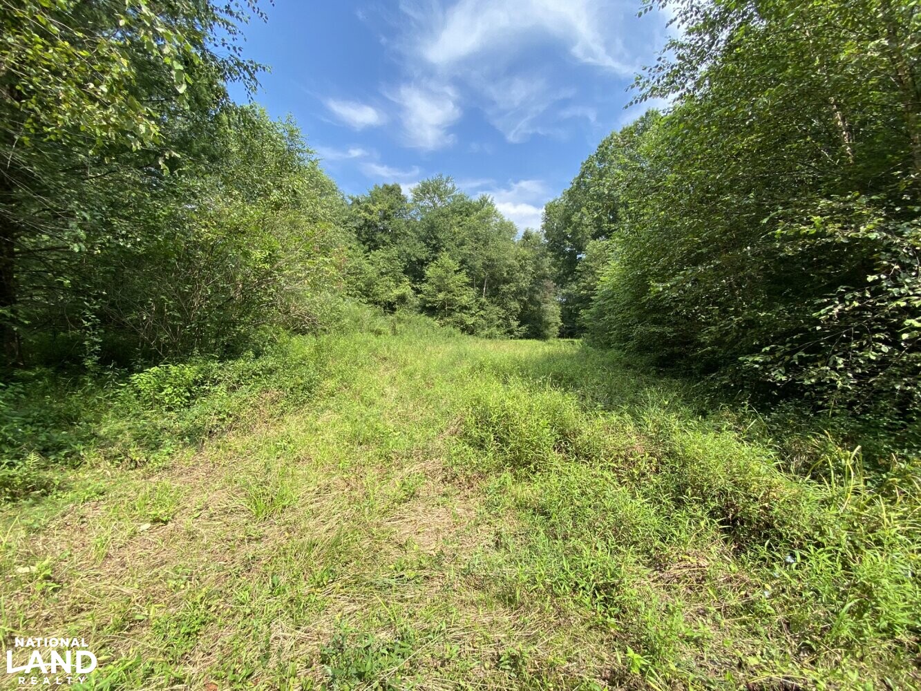 Vernon - Yellow Creek Hunting & Timber Tract in Lamar County, Alabama ...