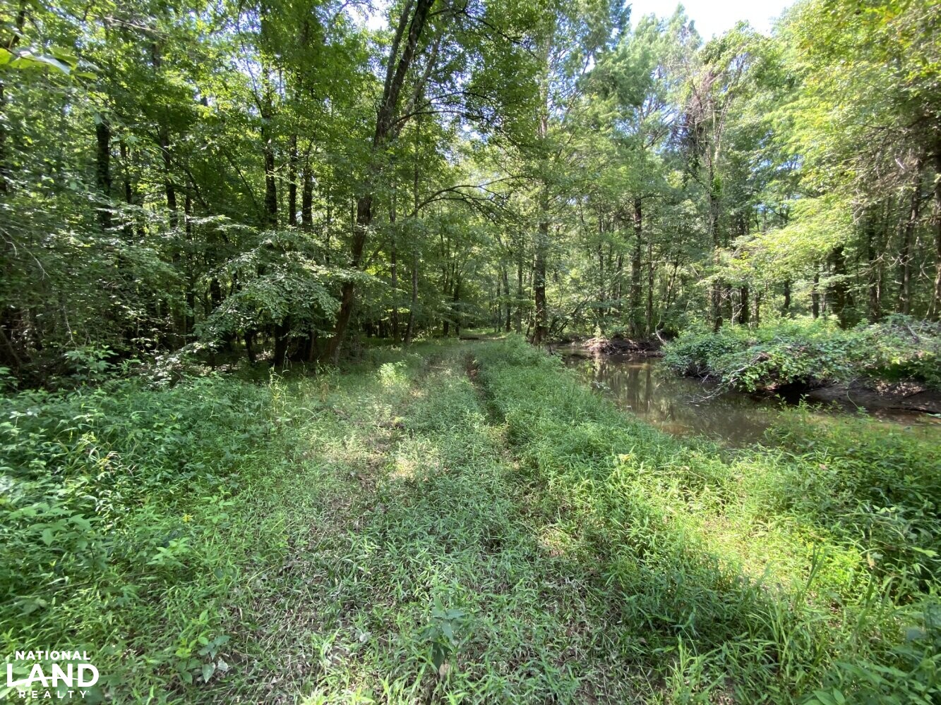 Vernon - Yellow Creek Hunting & Timber Tract in Lamar County, Alabama ...