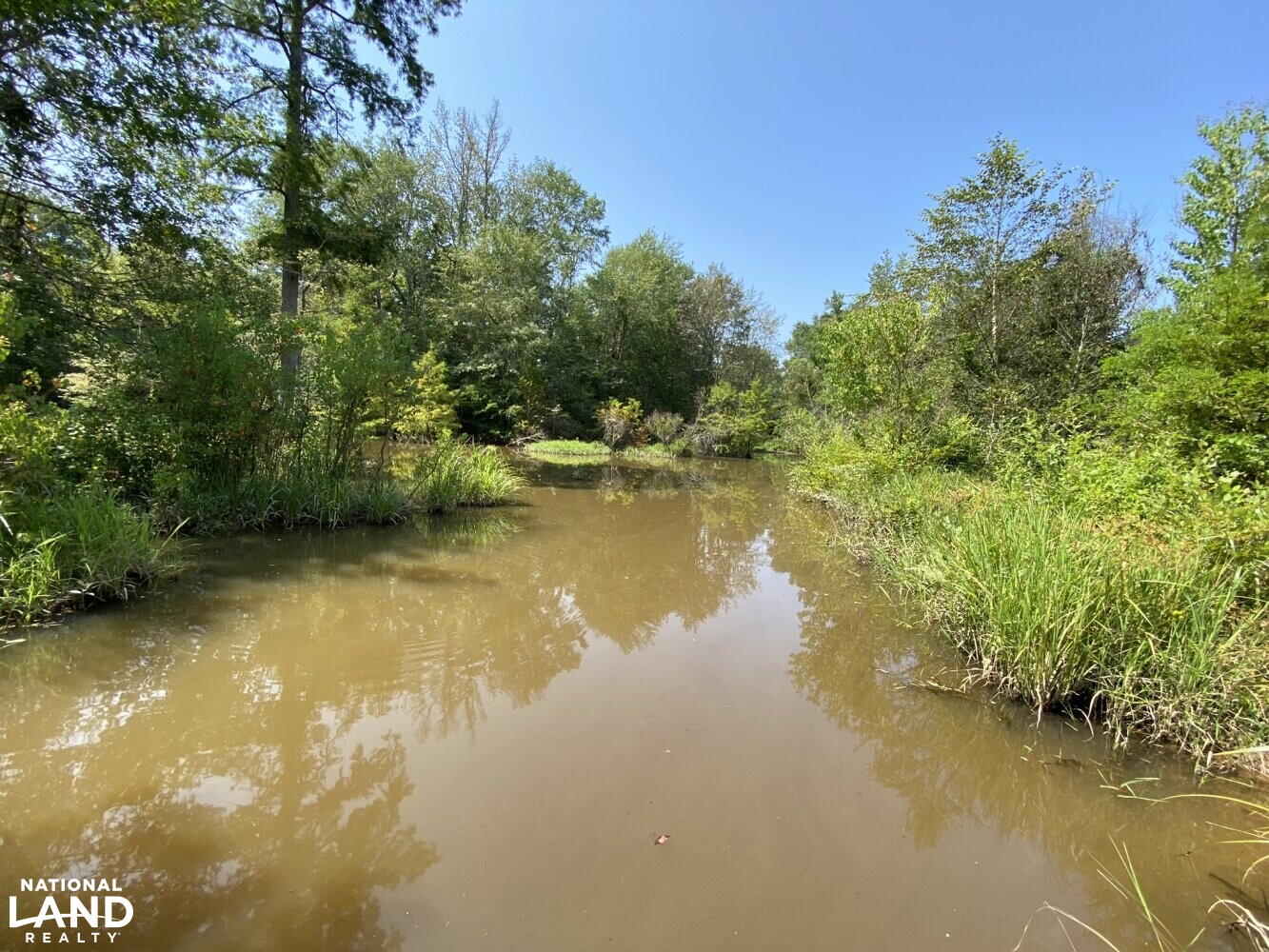 Vernon - Yellow Creek Hunting & Timber Tract in Lamar County, Alabama ...