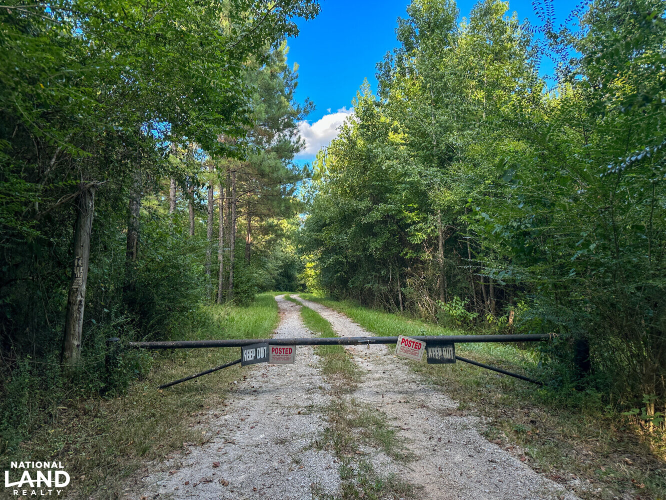 Farm House At Coppers Creek Timber and Hunting Investment in Bibb ...