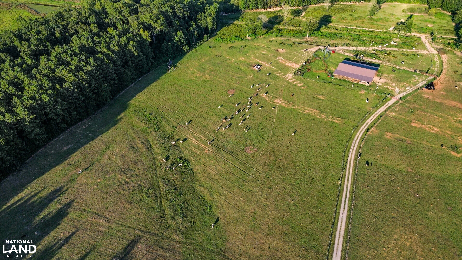 Maplesville Pasture and Hunting Tract in Chilton County, Alabama (33 ...