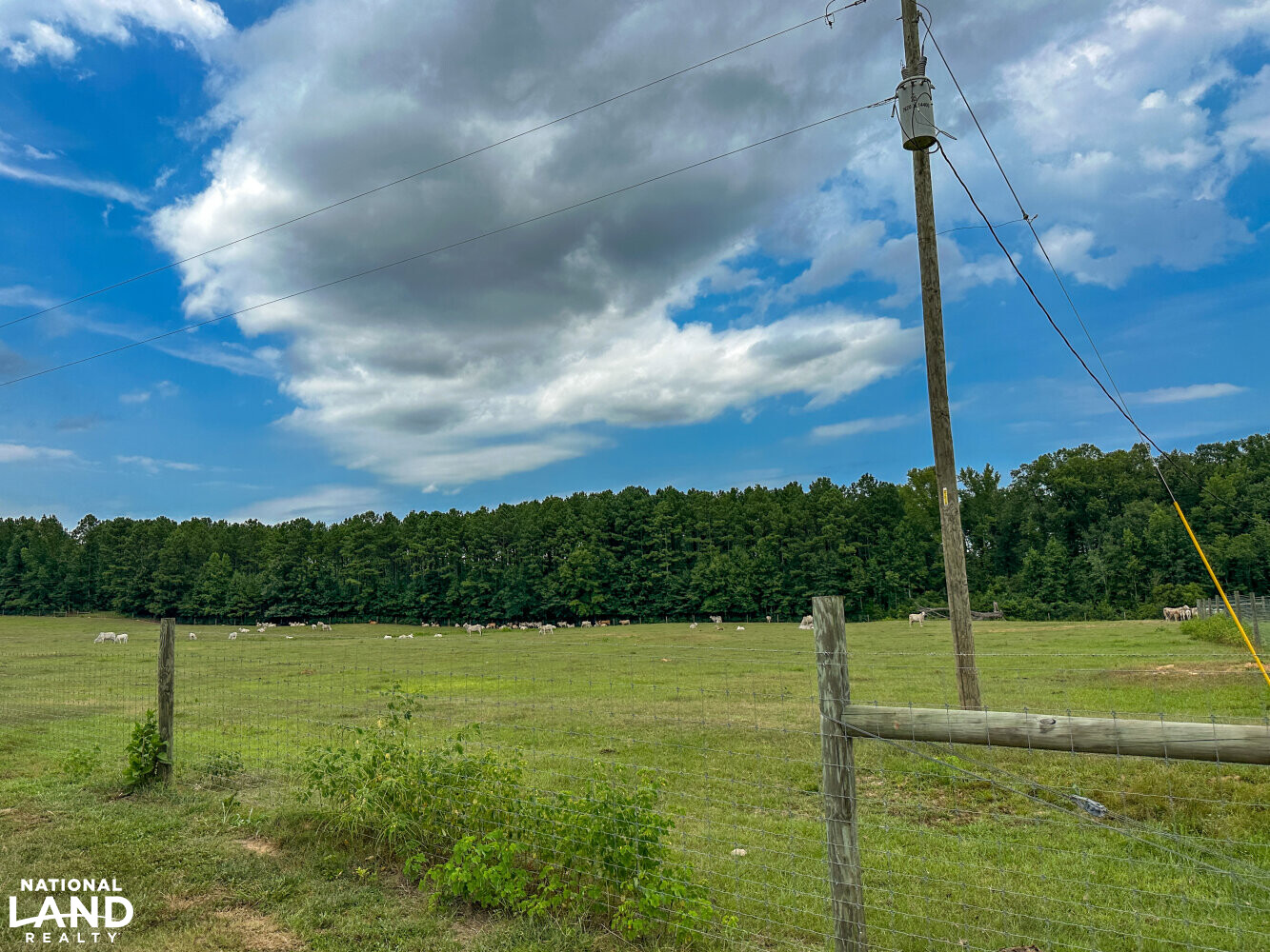Maplesville Pasture and Hunting Tract in Chilton County, Alabama (33 ...