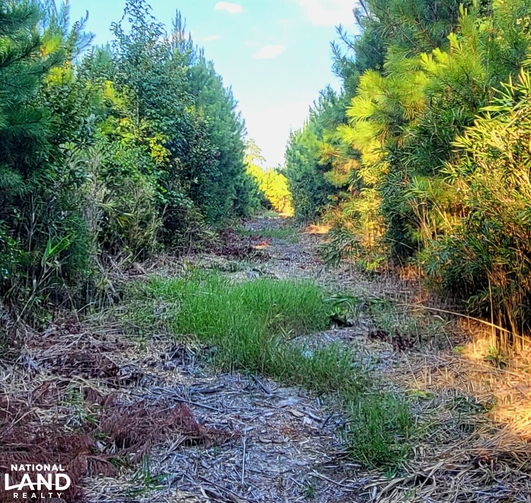 Frog Level Rd Tract in Pitt County, North Carolina (22 Photos ...