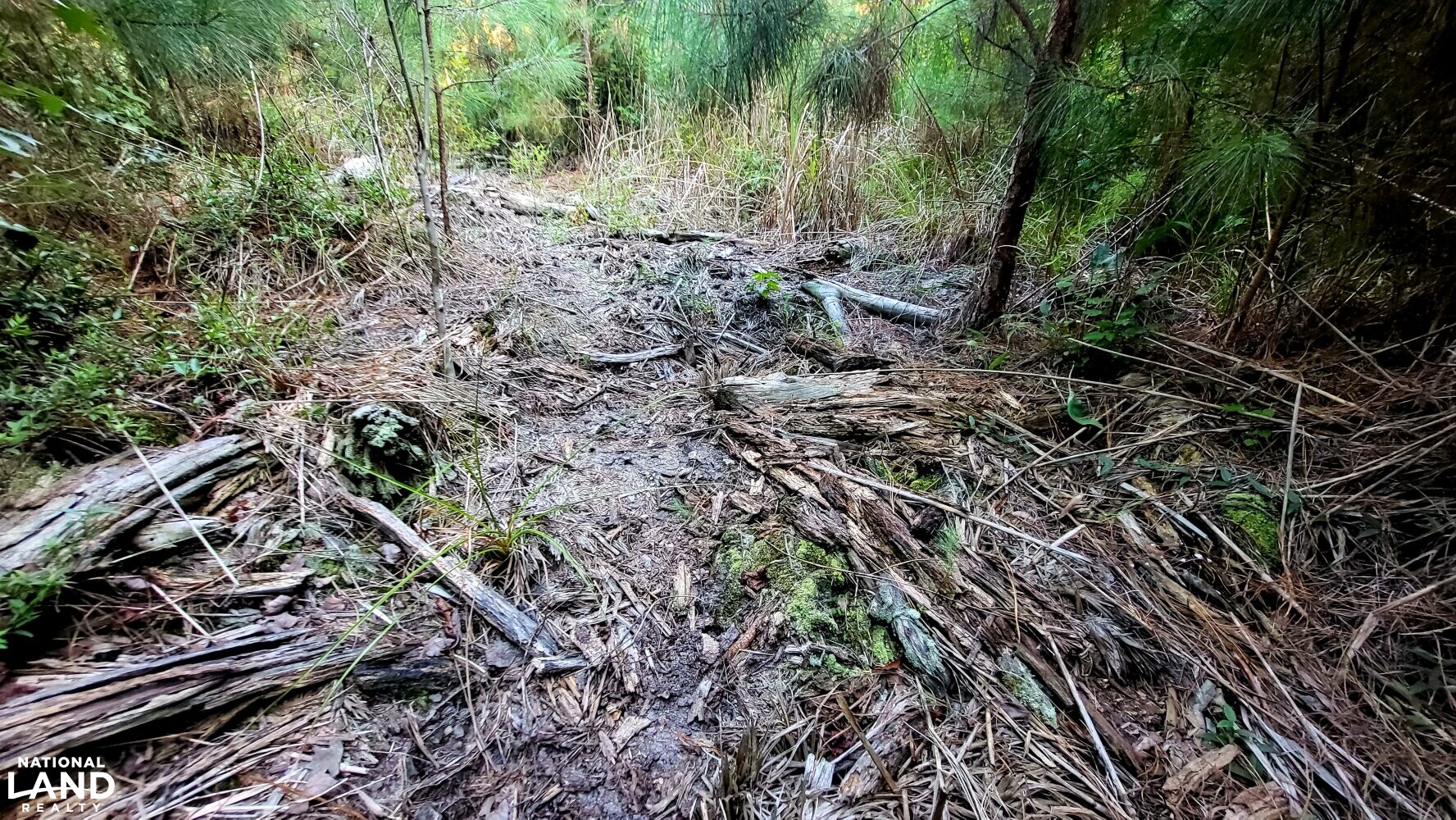 Frog Level Rd Tract in Pitt County, North Carolina (22 Photos ...