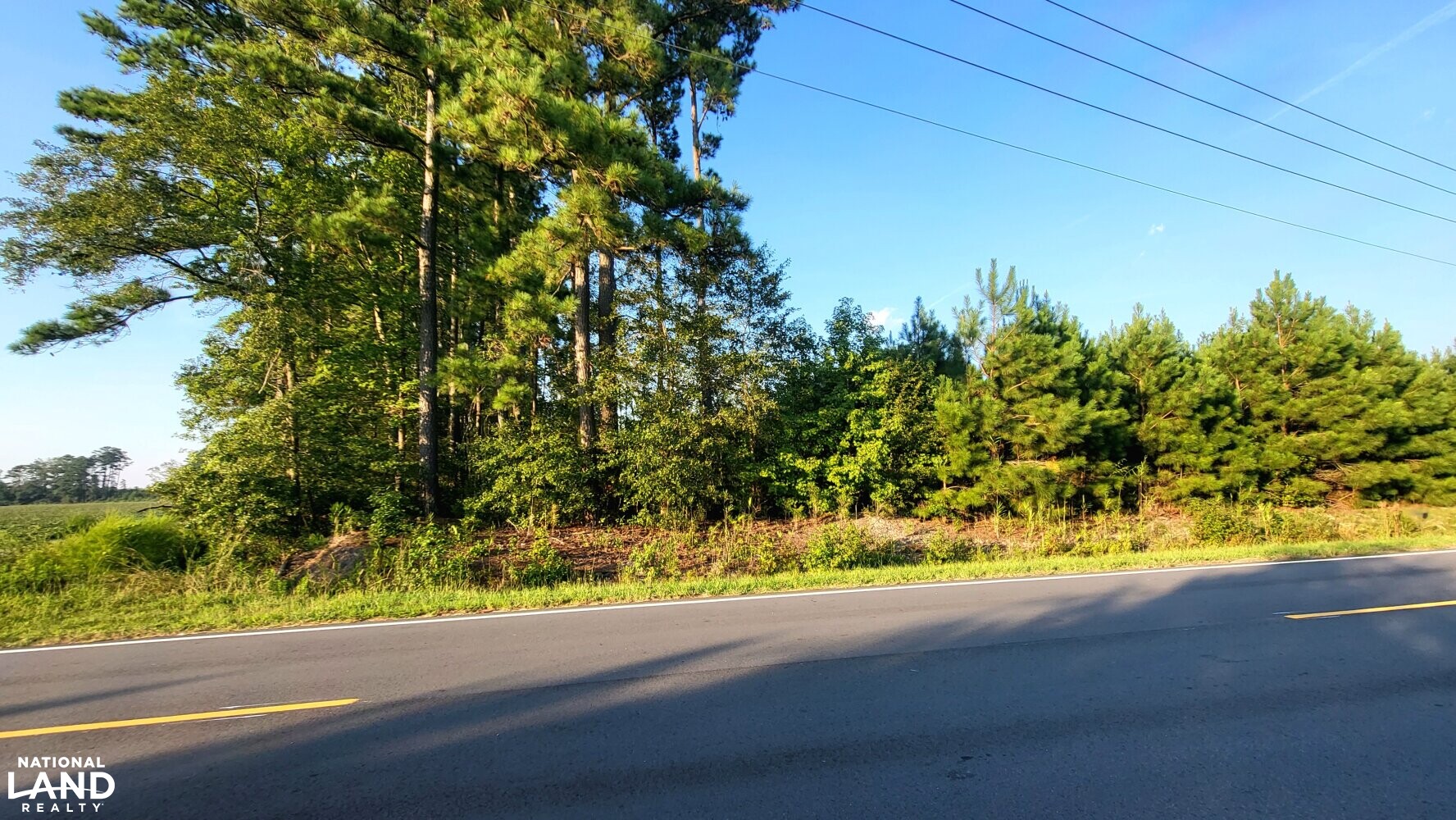 Frog Level Rd Tract in Pitt County, North Carolina (22 Photos ...