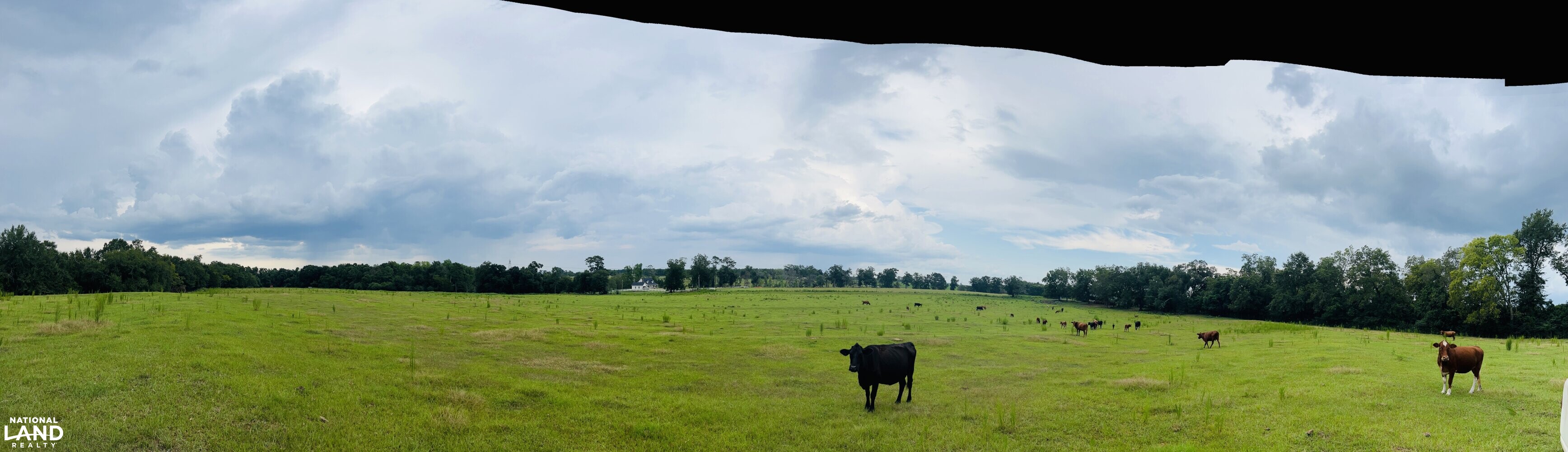 Downtown Newville Farmstead in Henry County, Alabama (68 Photos ...