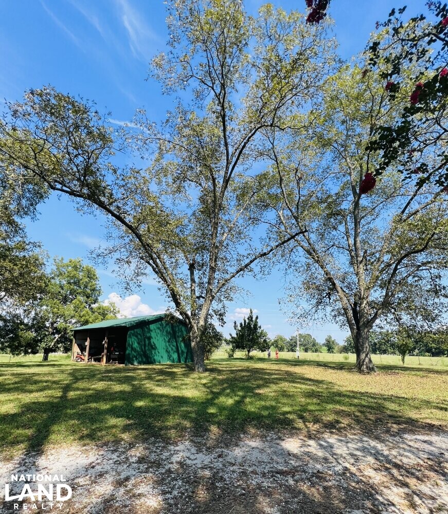 Downtown Newville Farmstead in Henry County, Alabama (68 Photos ...