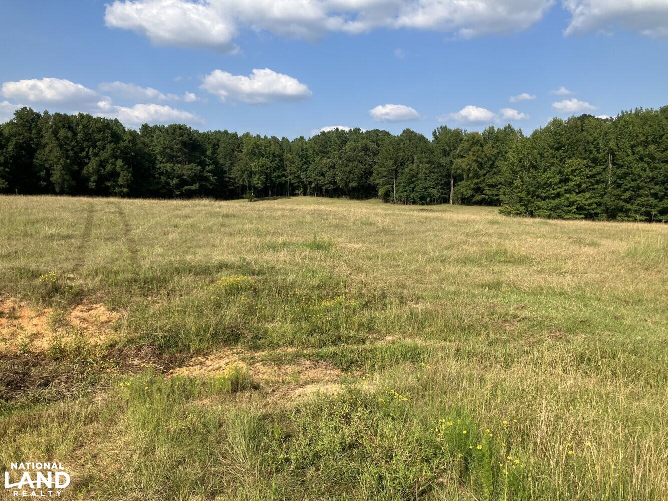 Mantee Home and Land Beauty in Webster County, Mississippi (25 Photos ...