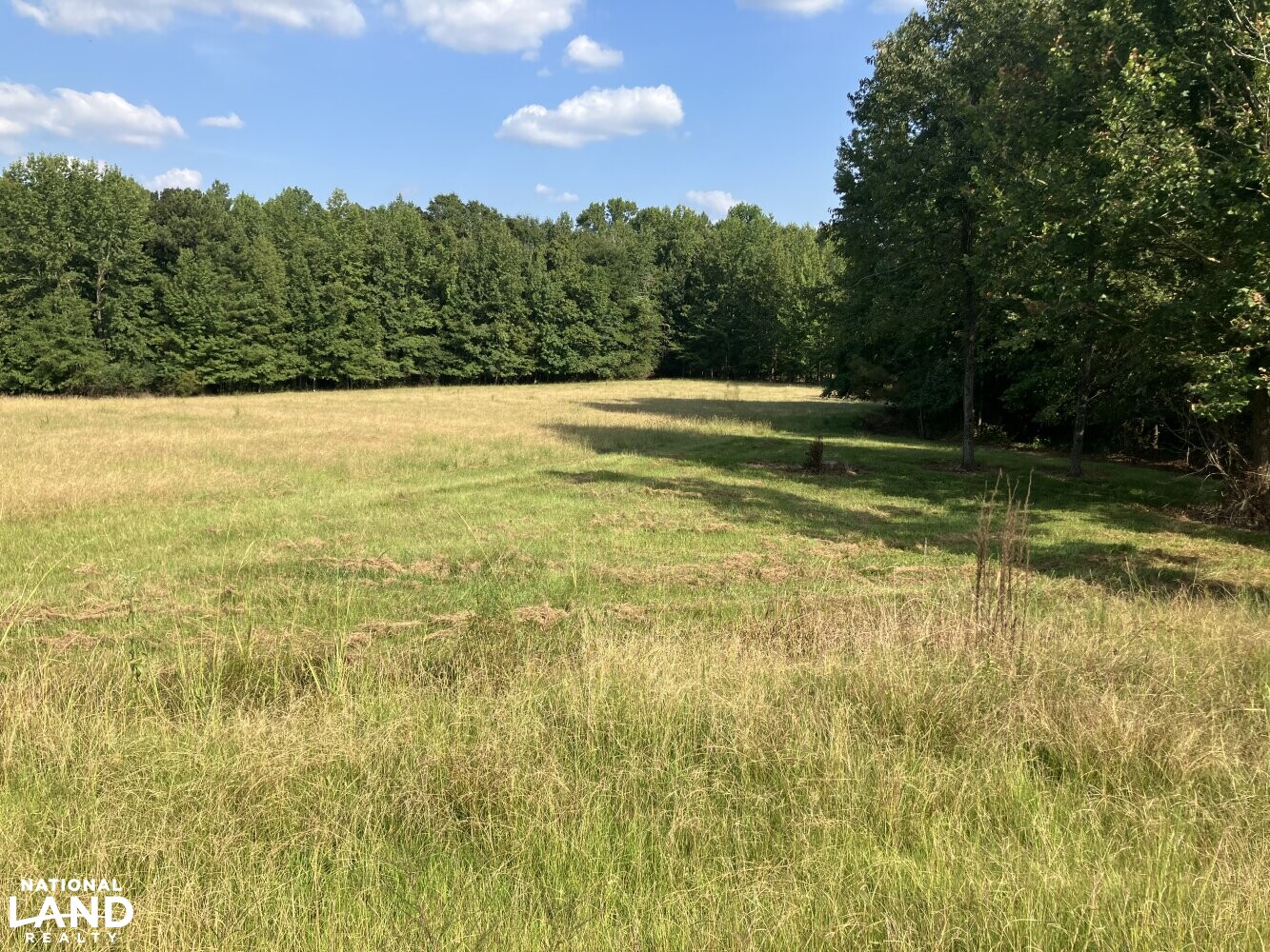 Mantee Home and Land Beauty in Webster County, Mississippi (25 Photos ...