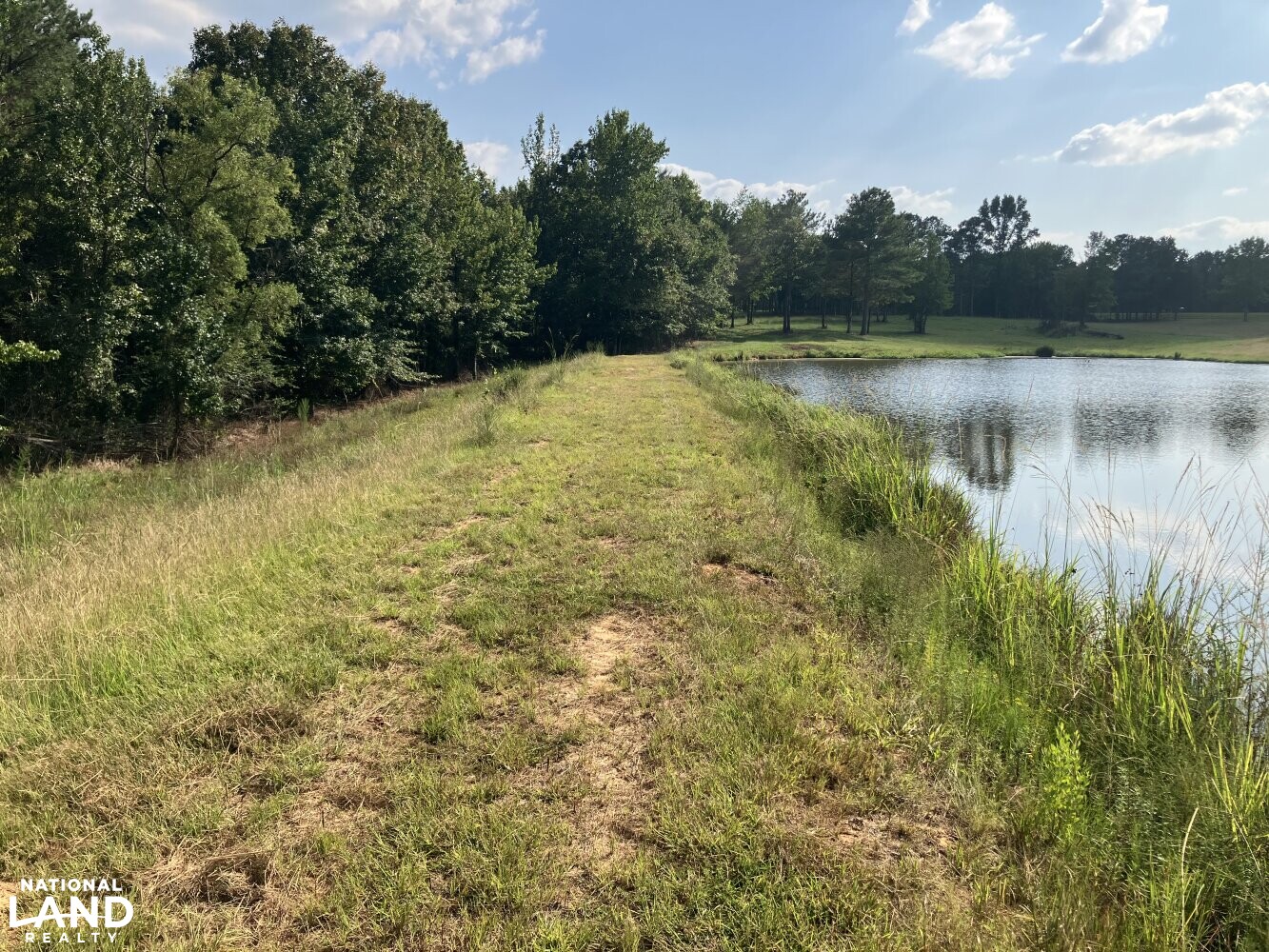 Mantee Home and Land Beauty in Webster County, Mississippi (25 Photos ...
