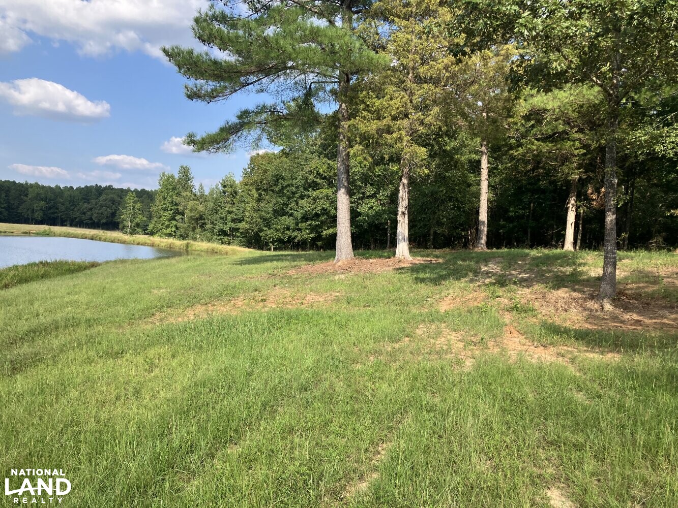 Mantee Home and Land Beauty in Webster County, Mississippi (25 Photos ...
