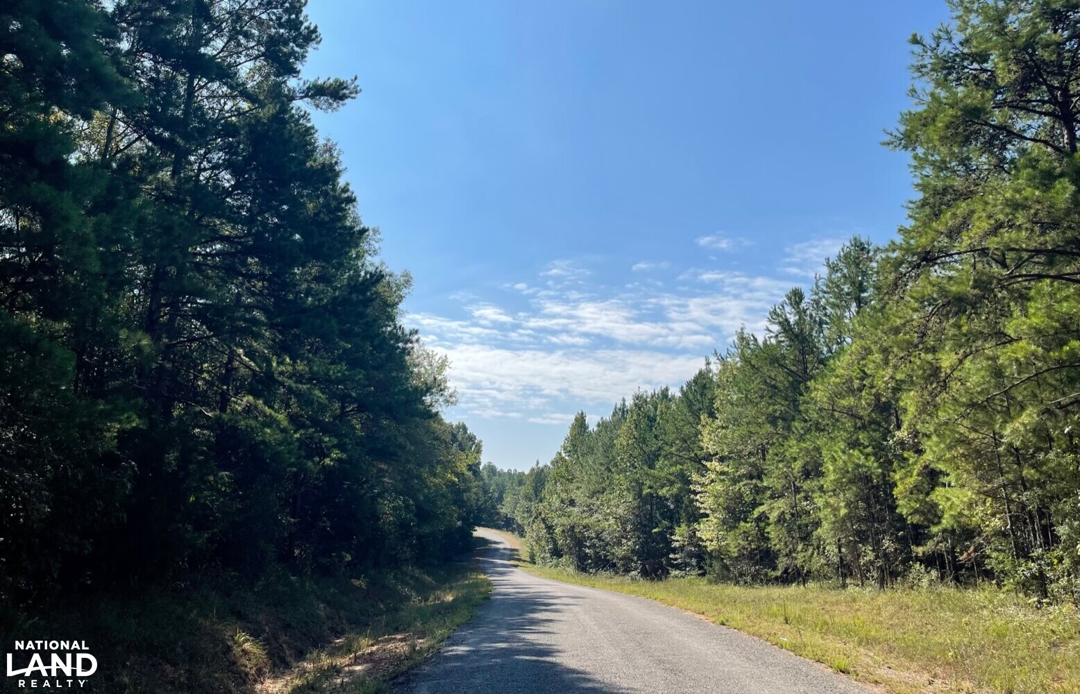 Paulding Recreational Timber with Camp Site in Jasper County ...