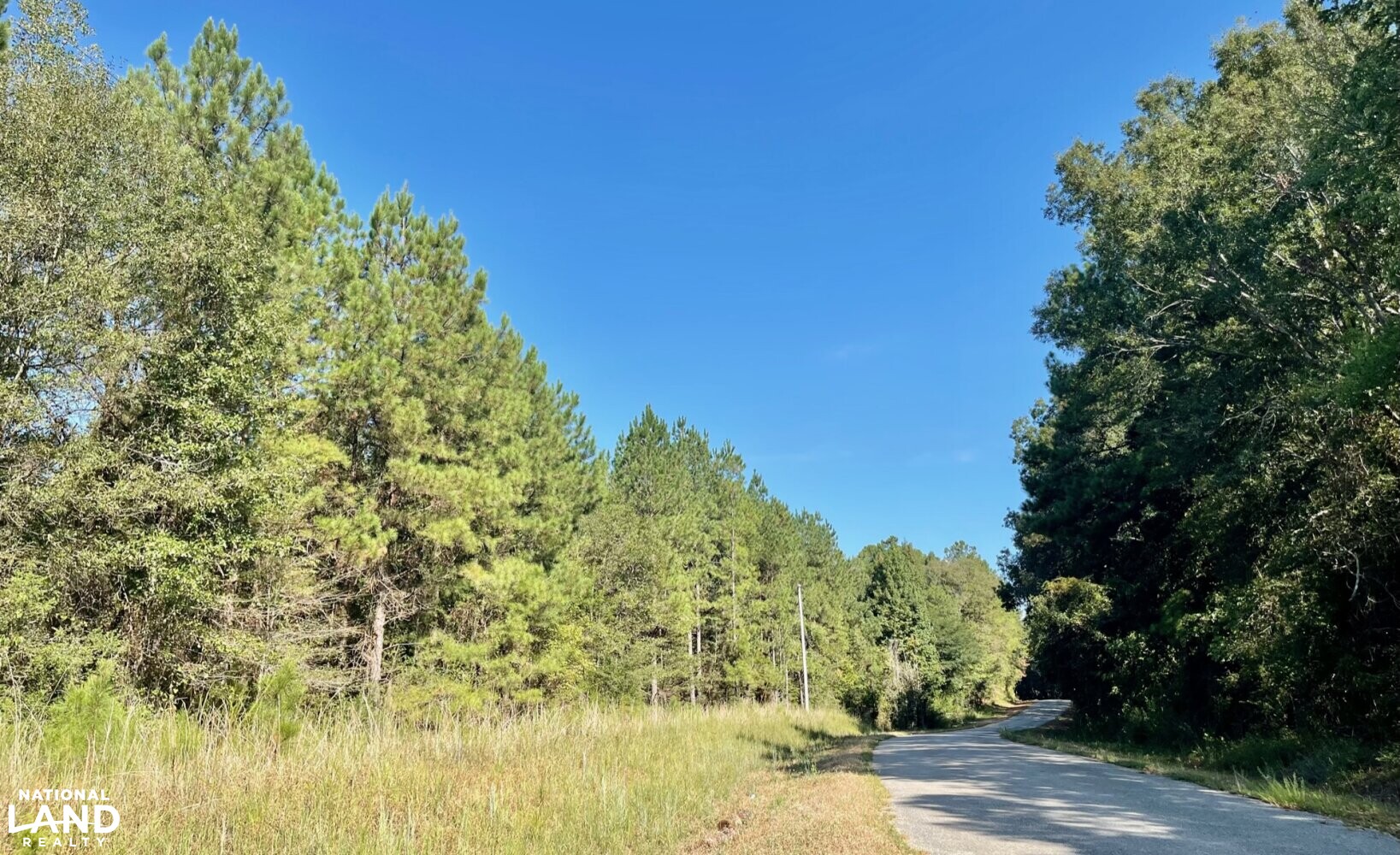 Paulding Recreational Timber with Camp Site in Jasper County ...