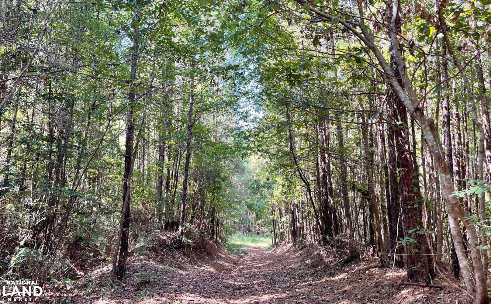 Paulding Recreational Timber with Camp Site in Jasper County ...