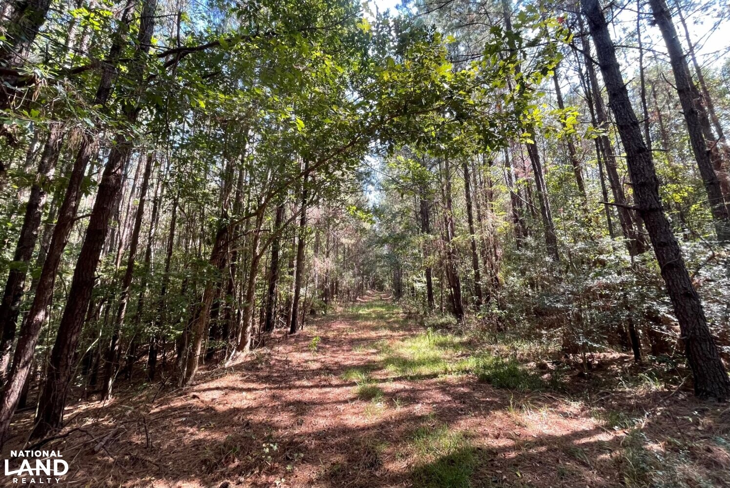 Paulding Recreational Timber with Camp Site in Jasper County ...
